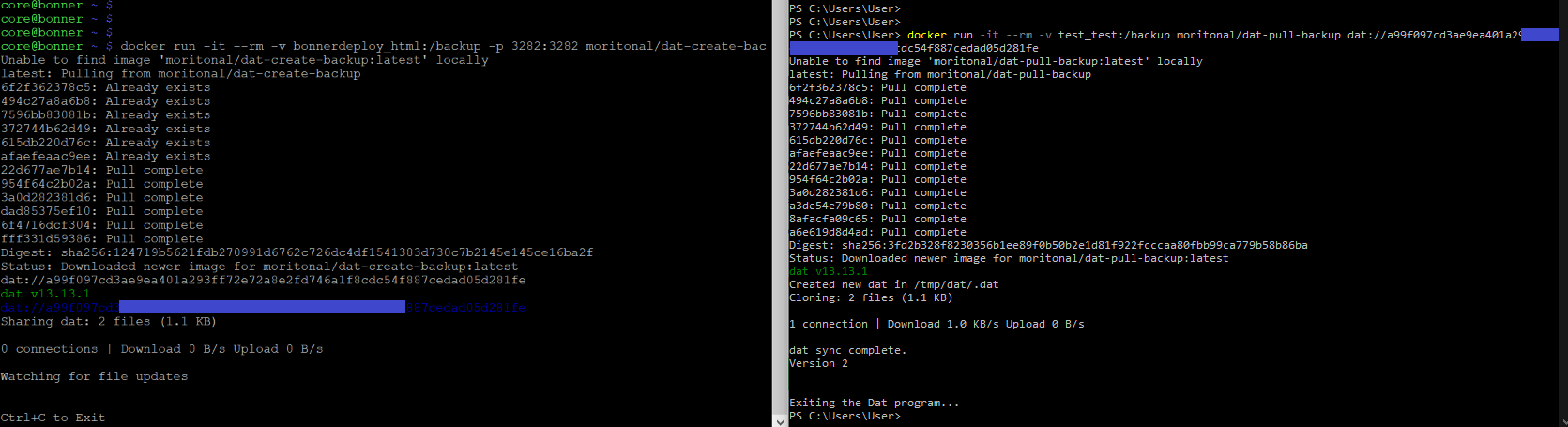 Transfer Docker Volumes with DAT